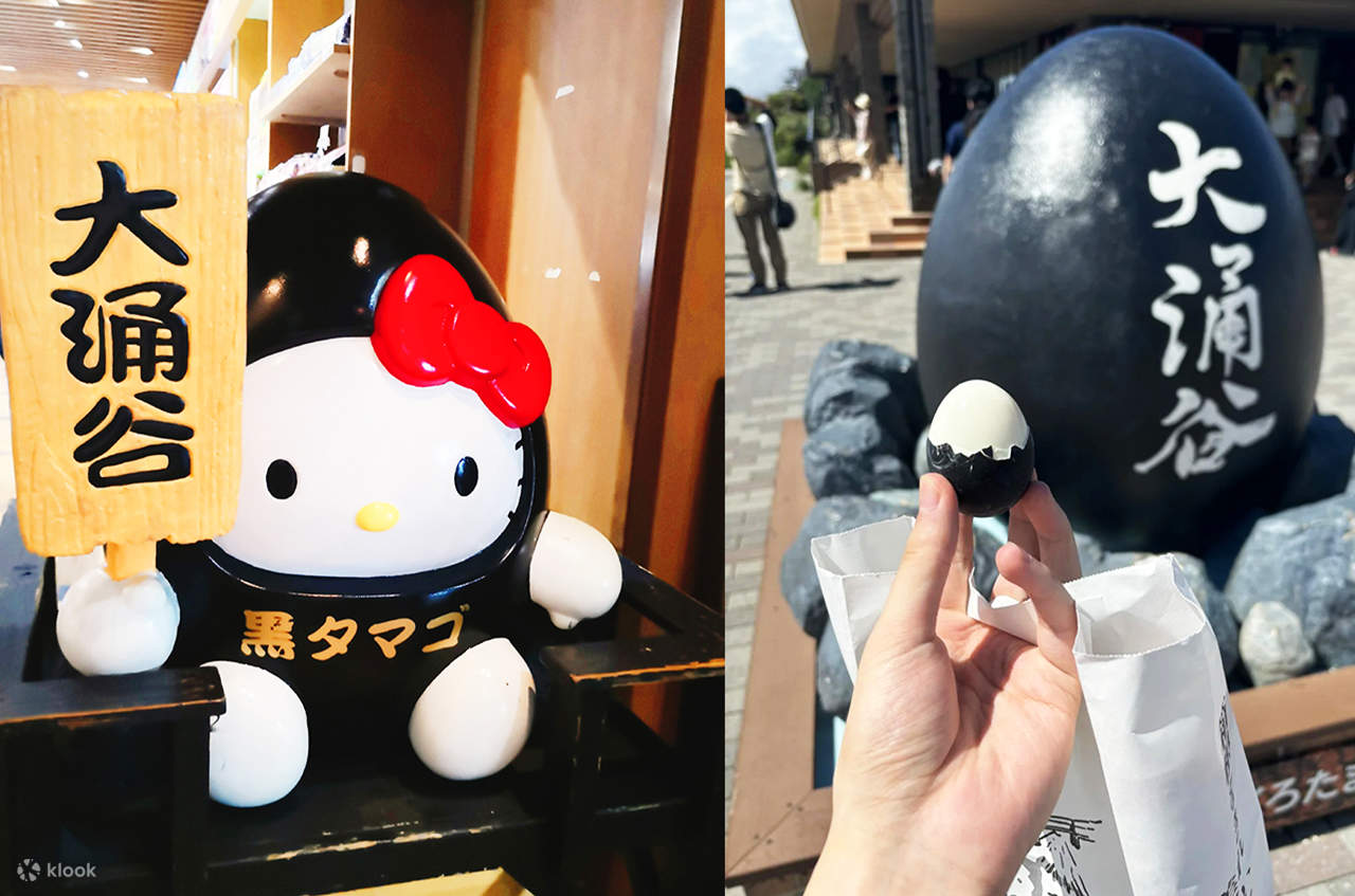 Mount Fuji, Lake Yamanaka, Oshino Hakkai, Hakone, Lake Ashi Pirate Ship ...